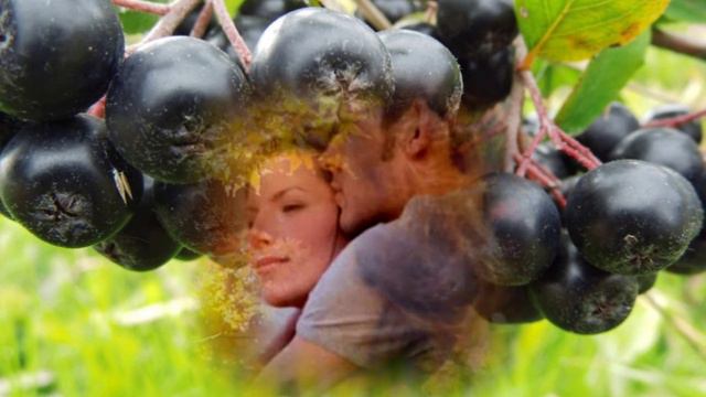 Рябина чёрная Светлана Беликина сл и муз Андрей Куряев баян Эгон Шиллер Автор видео Нина Рудакова