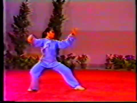 Тайцзи-цюань стиль Ян 40 форм.