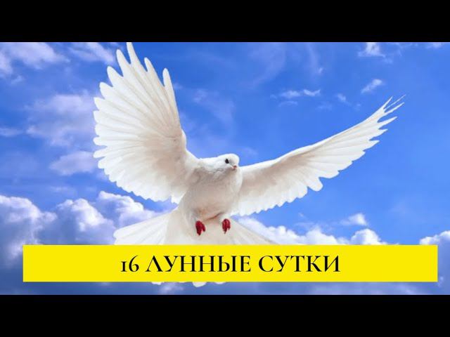 16 ЛУННЫЕ СУТКИ