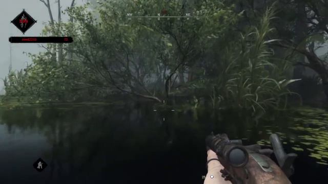 Корона против световой гранаты.HUNT SHOWDOWN Быстрая игра