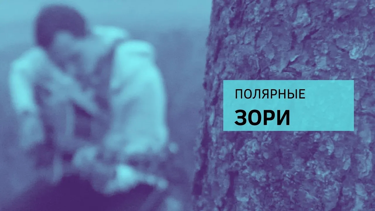 Полярные Зори - Макс Дорбеко Lag Guitar T318DCE