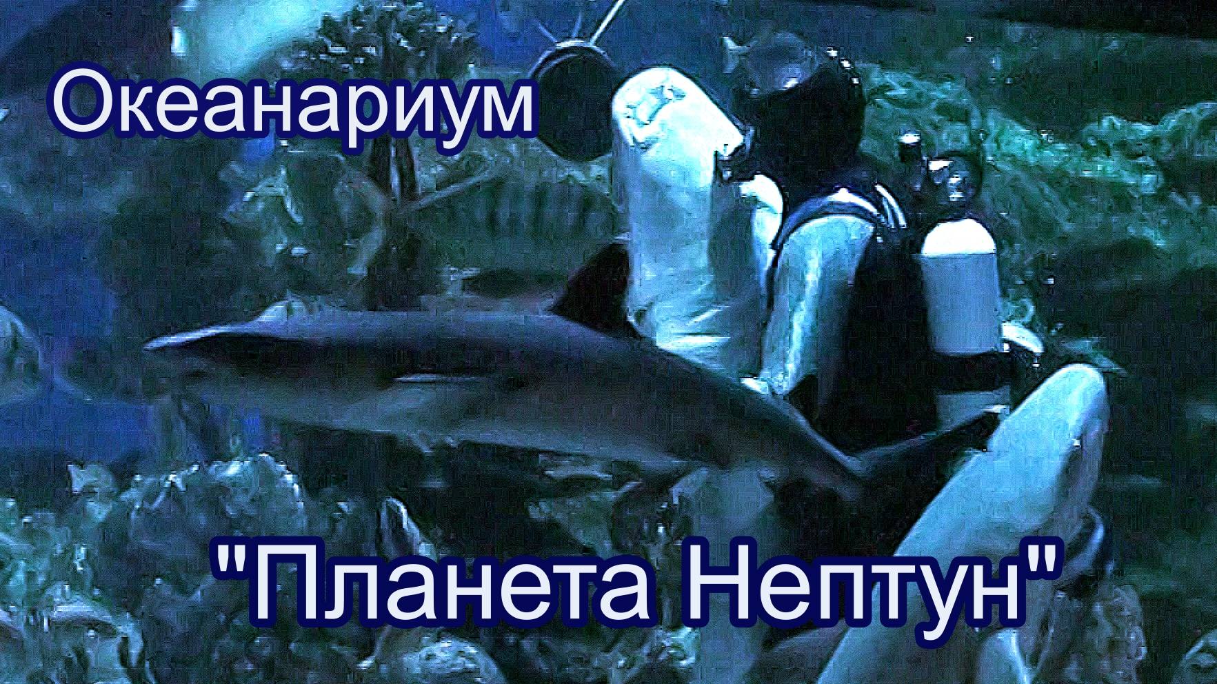 Петербург. Океанариум "Планета-Нептун"