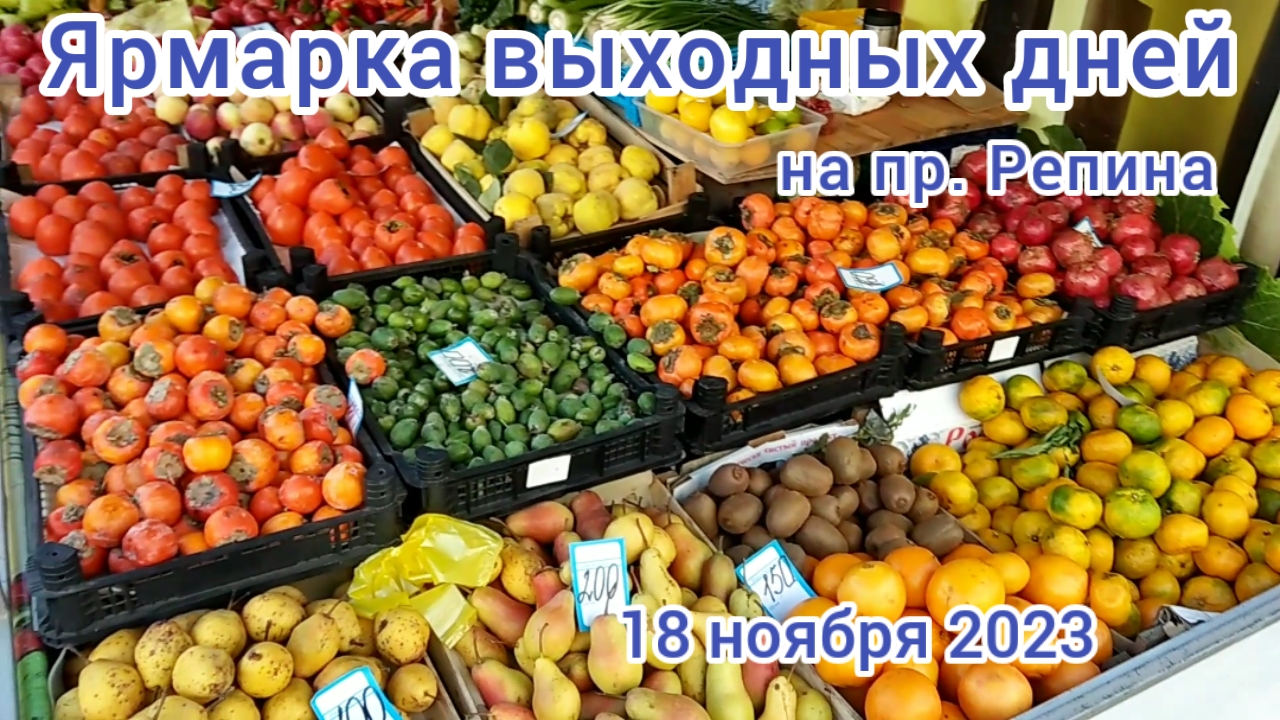 Краснодар - Ярмарка выходных дней на проезде Репина   - цены -  18 ноября 2023 г.