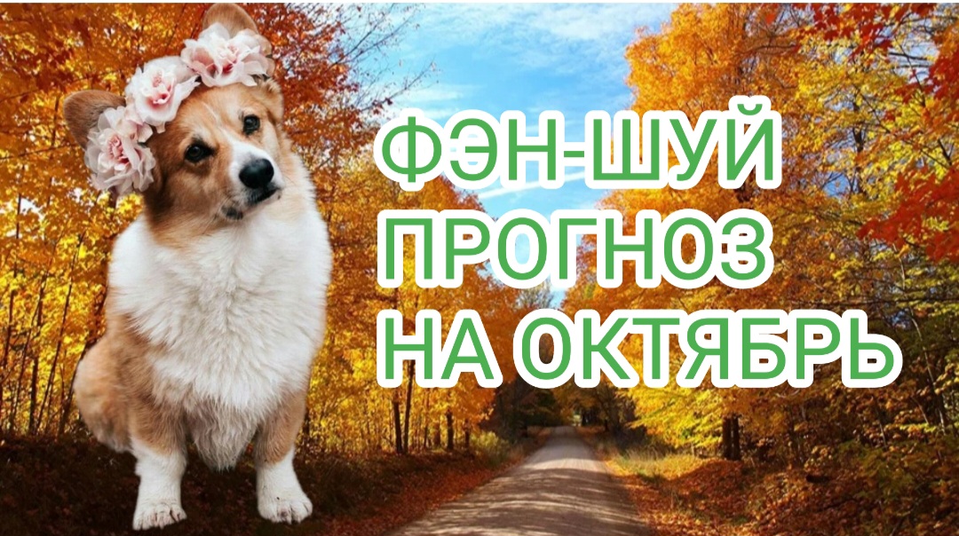 ФЭН-ШУЙ ПРОГНОЗ НА ОКТЯБРЬ#10