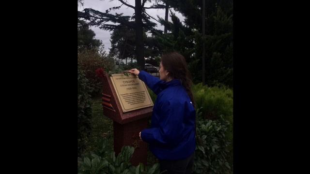 Волонтеры ТГМТ