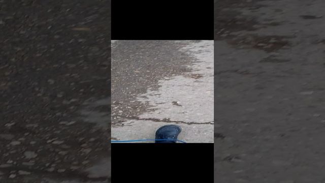 Весенняя прогулка от первого лица