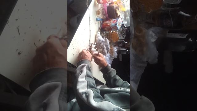 Сады России - посылка с саженцами винограда..mp4