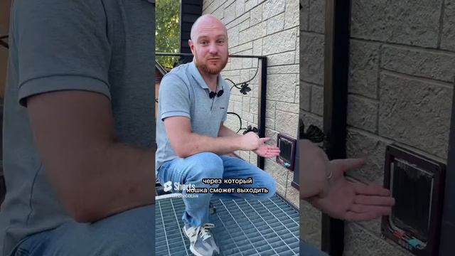 Лайфхак для любителей кошек