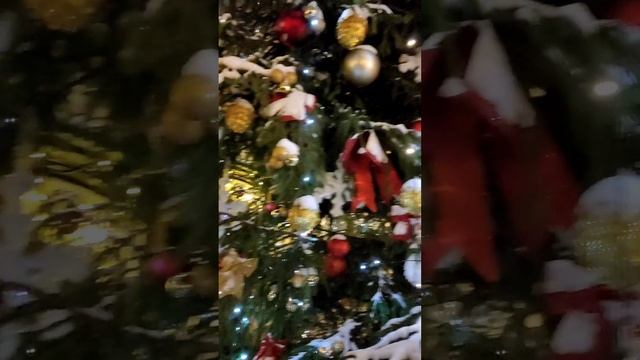 Новогодний двор отеля "Мария"