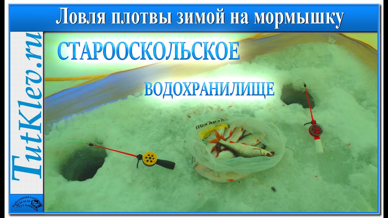 Ловля плотвы на мормышку. Зимняя рыбалка на Старооскольском водохранилище.mp4