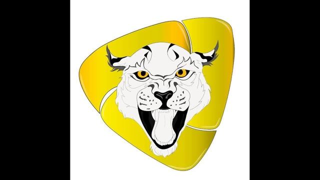 ВОДОПАД - Хоккей Важнее