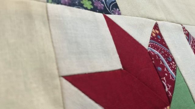 Проект «Садовый плед» идёт к завершению 11-06-2023