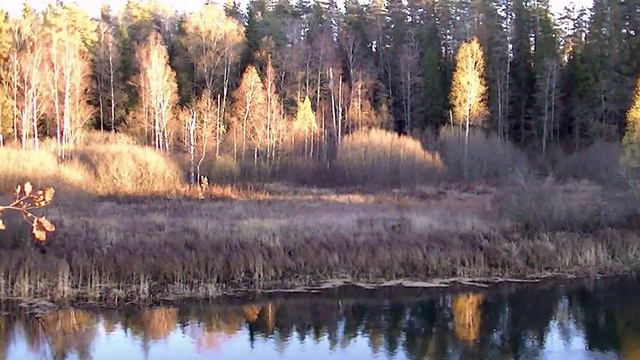 Скинуло кафтан зелёный лето