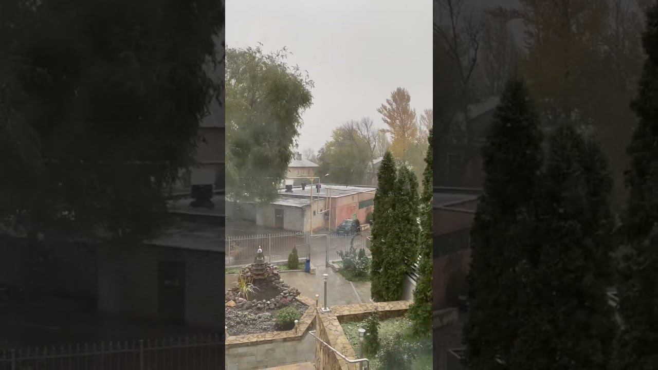 27 октября 2022 г.