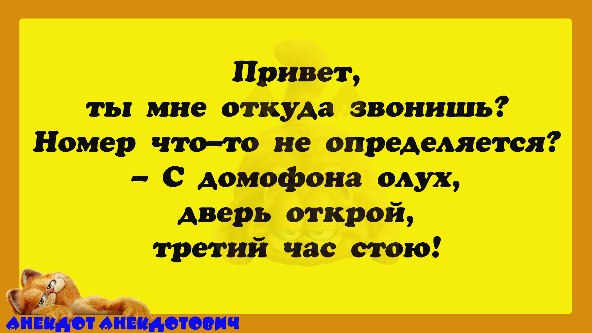Каким должен быть погреб, чтобы вино в нем хорошо дозрело? Подборка смешных анекдотов
