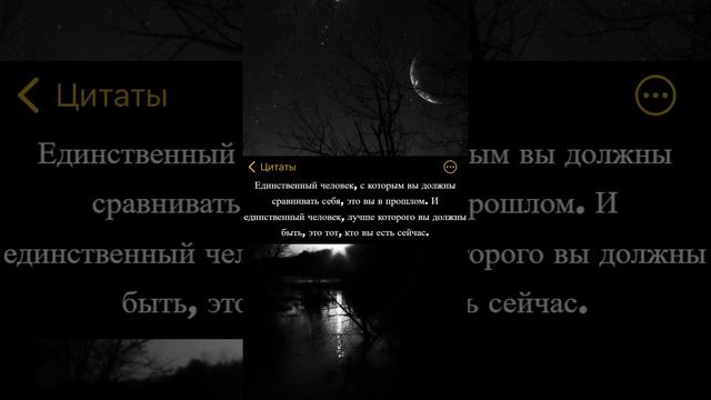 Цитата 8