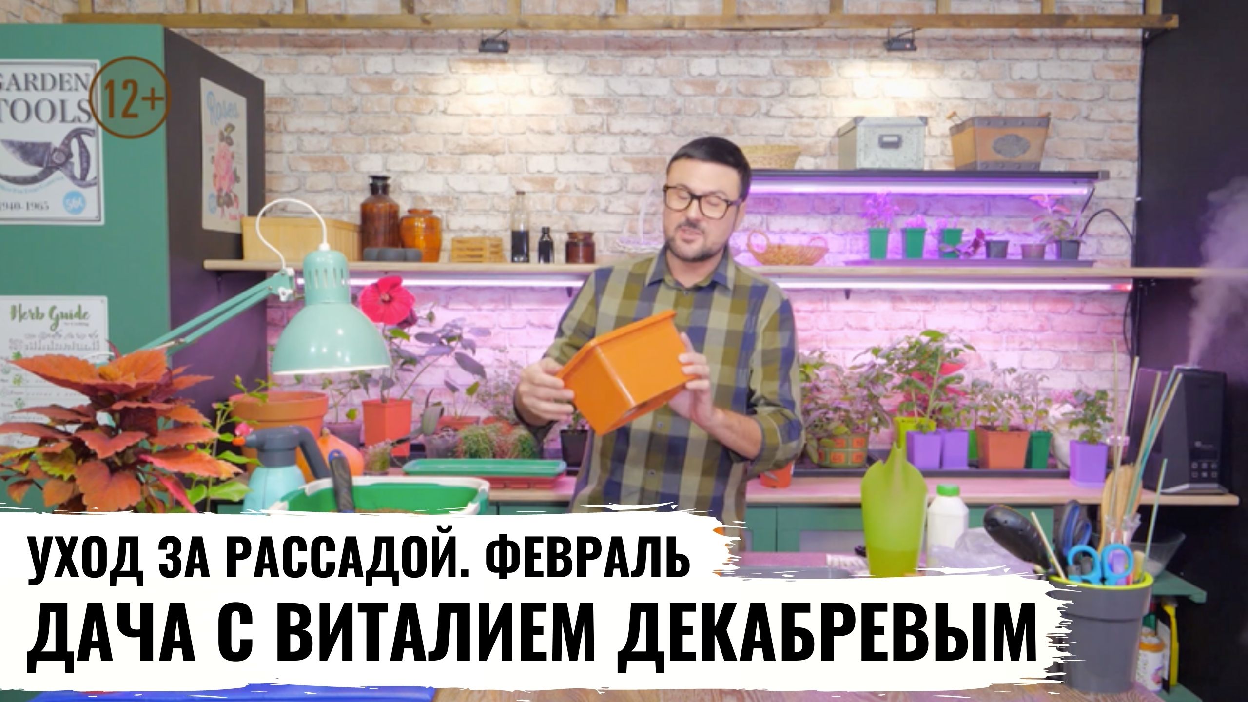 Дача с Виталием Декабревым // Уход за рассадой. Февраль.
