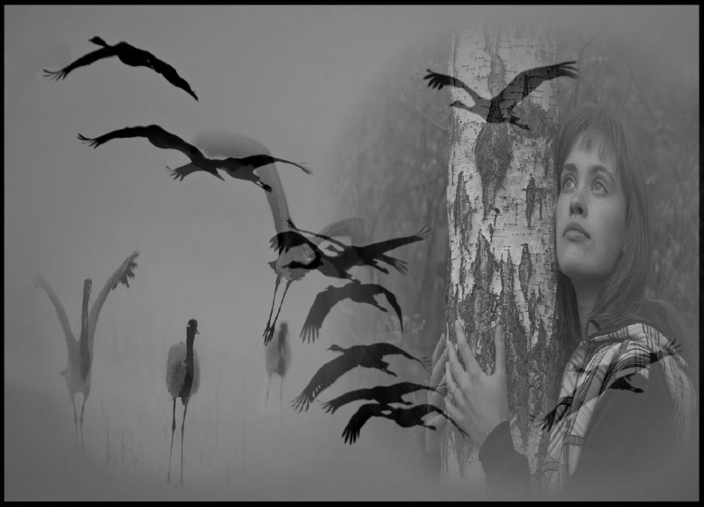 Не будите журавли, вдов России, разбор на гармони №-234 с цифрами