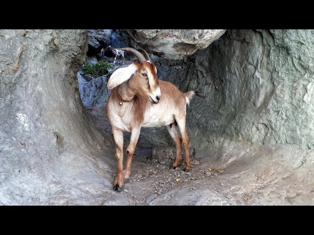 Висячий камень (Сухой водопад) 07.10.2019