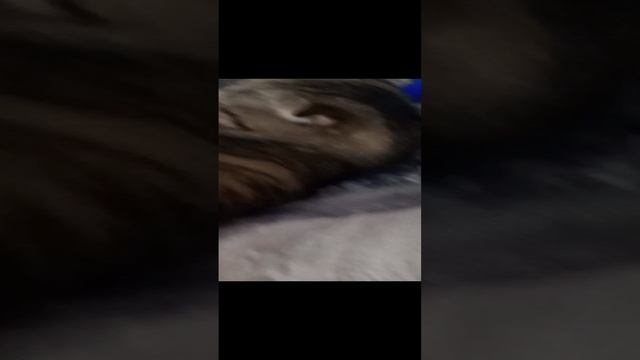 о ма гад дис из A4#shorts#врек