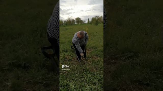 Дарите женщинам цветы.