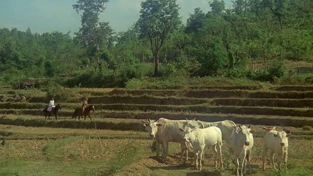 Pierre Bachelet Herve Roy - Эммануэль