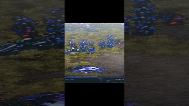 Старкрафт 1 . Не хватило солдату места и бегает по кругу