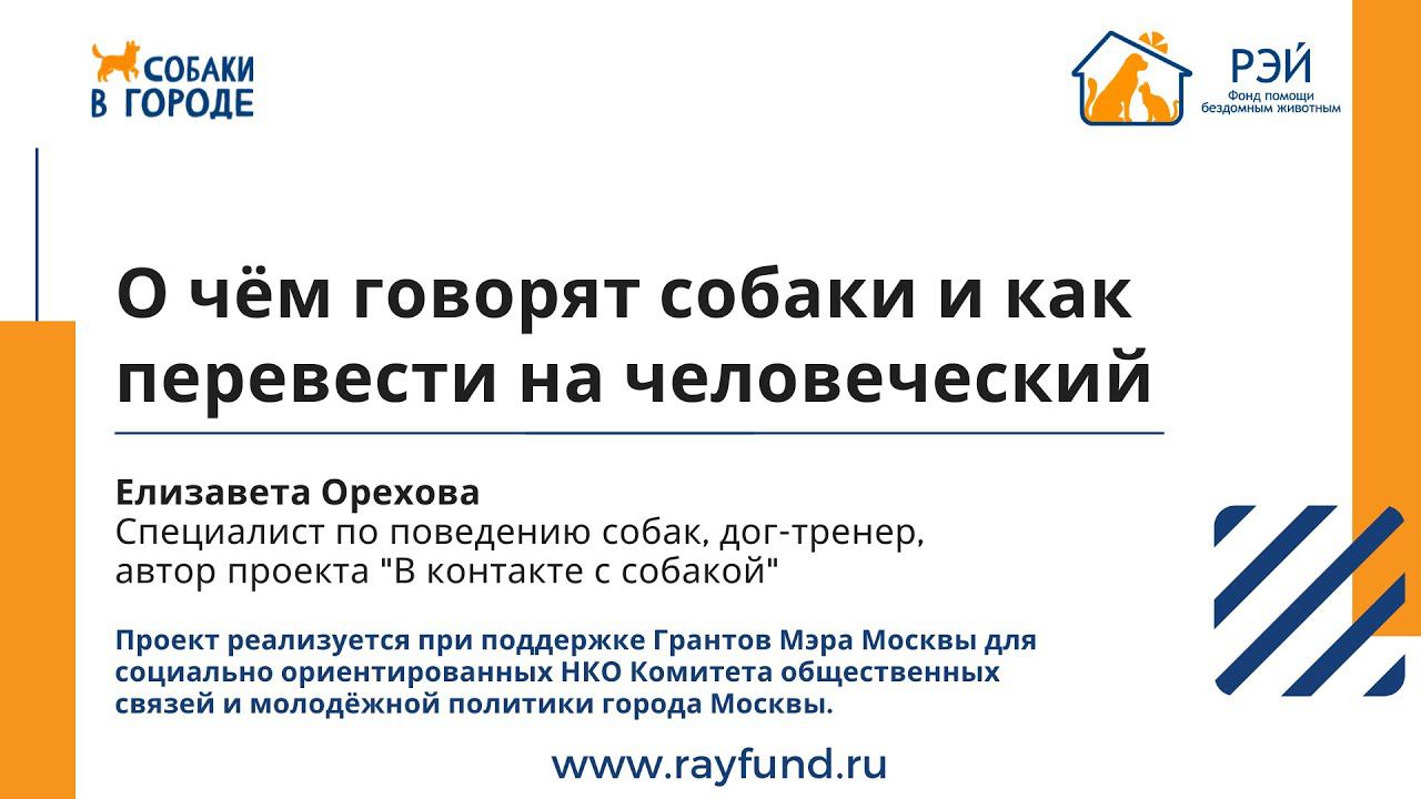 О чём говорят собаки и как перевести на человеческий