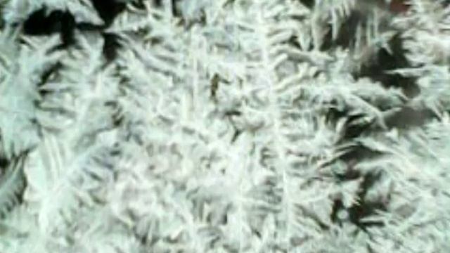 Комедия Рок  Как Дождь и Звёзды