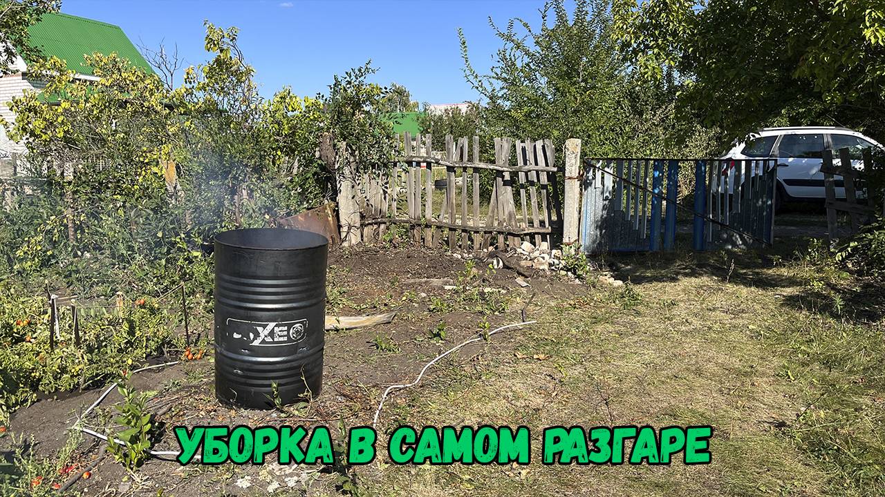 Уборка в самом разгаре
