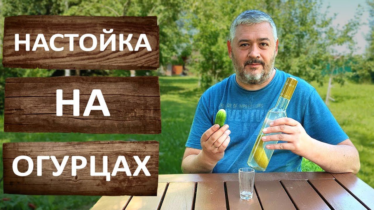 Огуречная настойка на самогоне. Рецепт дачной настойки с огурцами. Огуречная водка.