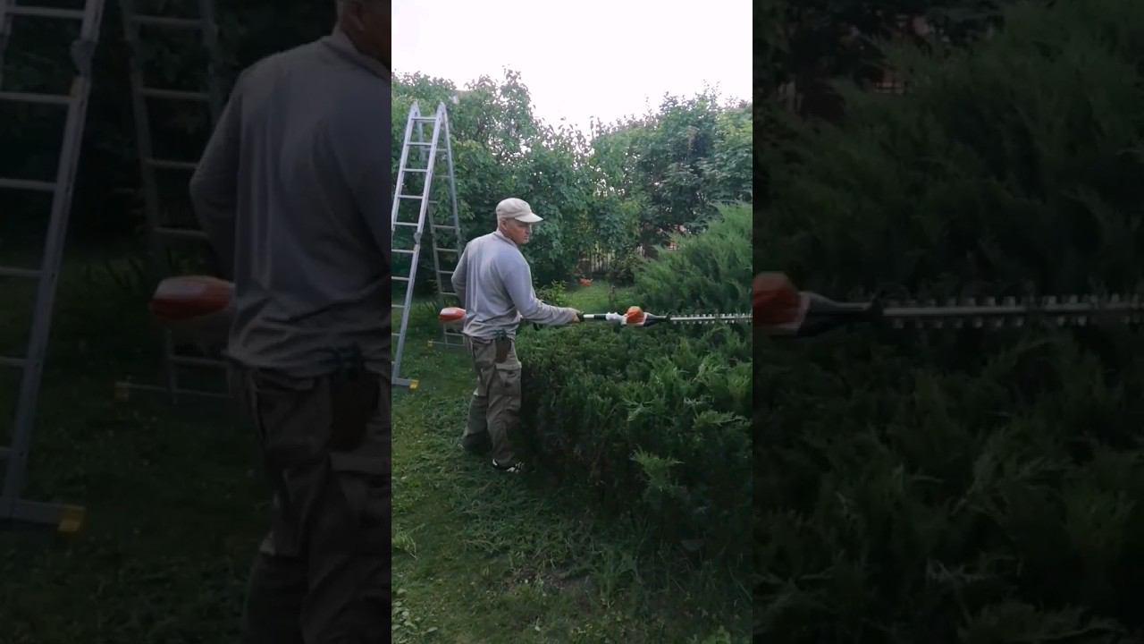 Гигант можжевельник постригли и сделали живой камень #шортс #топиар #стрижкакустарников