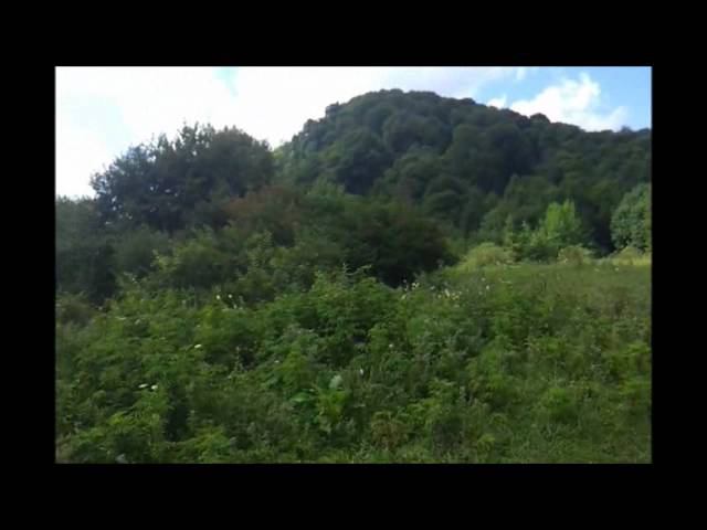 Конный тур в Адыгее. 2012 год