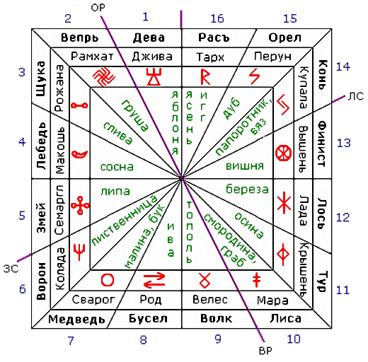 КОЛА БОК