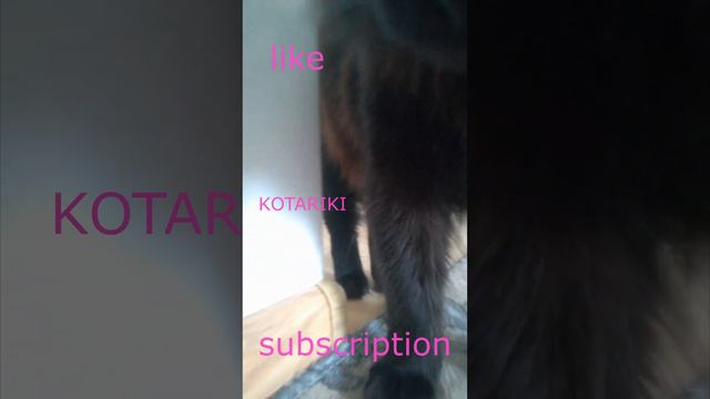 КТО ТАМ