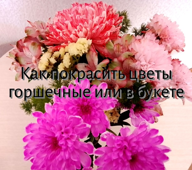 Как покрасить цветы горшечные и в букете