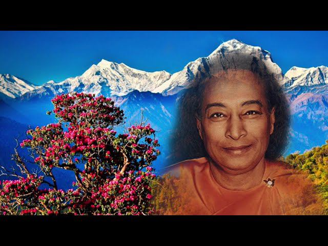 Сила разума. Парамханса Йогананда