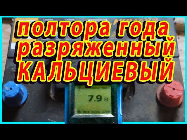 Отдали простоявший 1.5 года разряженным  аккумулятор