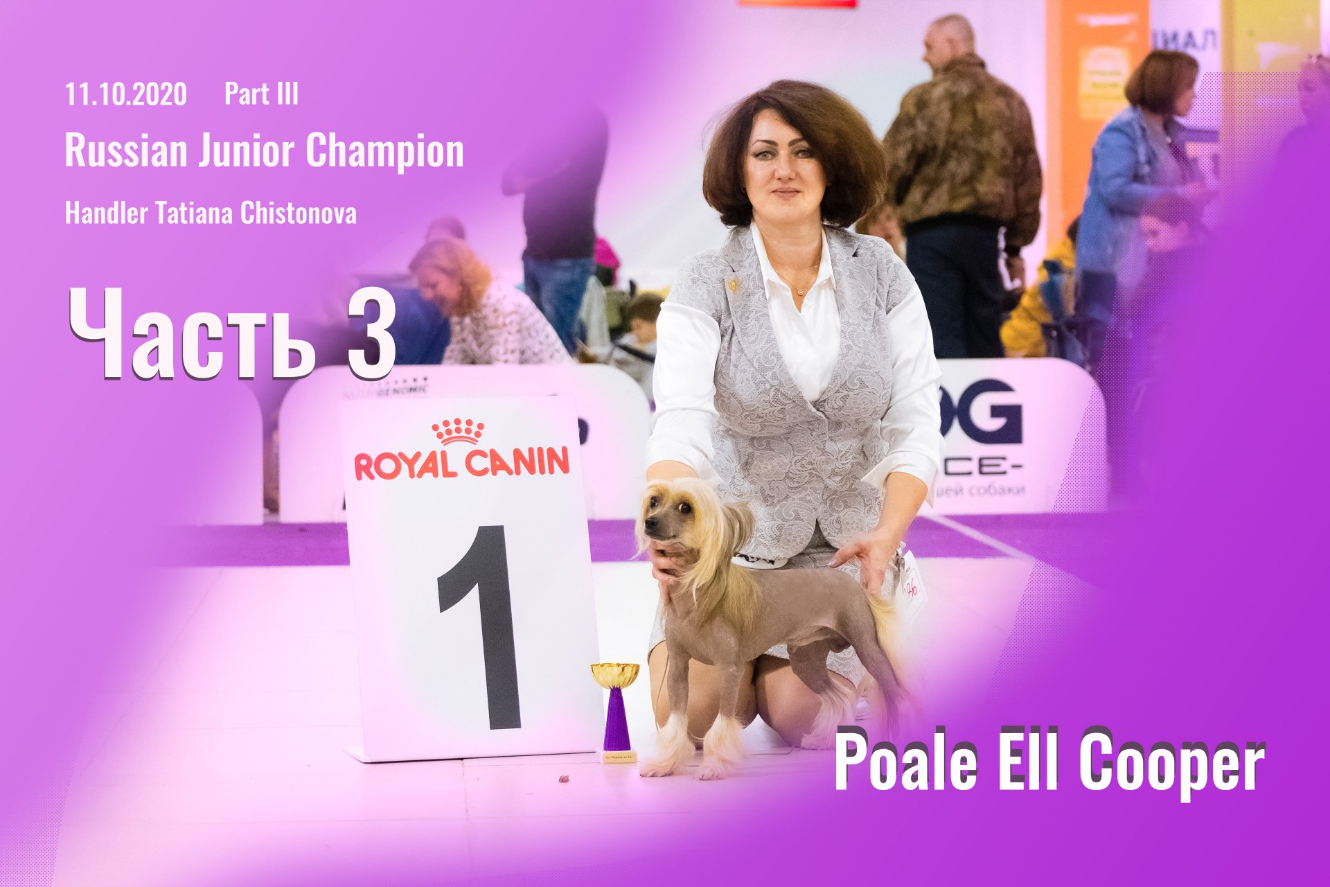 Part III. Poale Ell Cooper Russian Junior  Champion