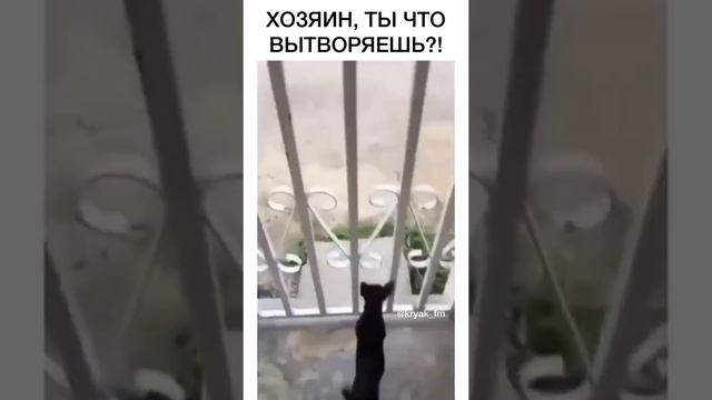 Чуть не умер от страха