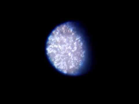 FORUM добавка к маслам и мазкам