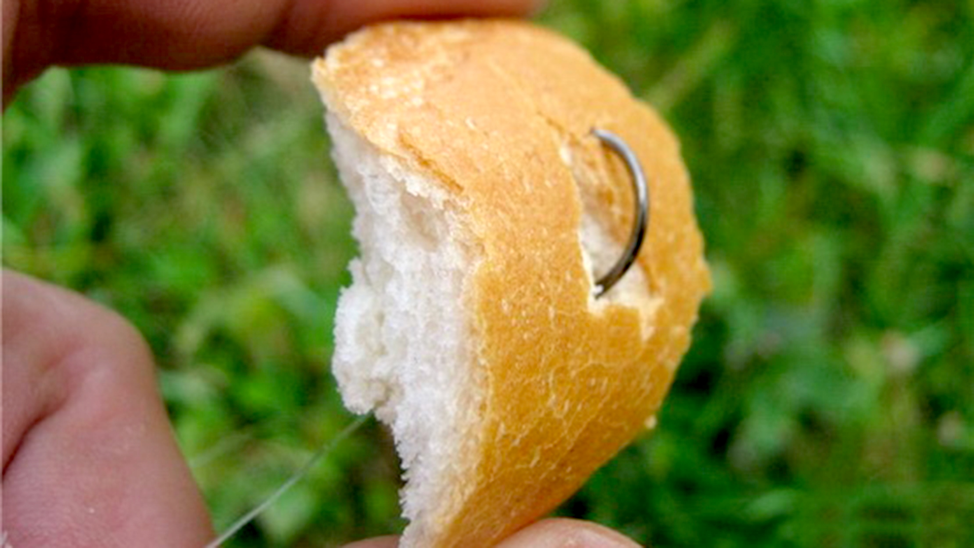 Как насадить на крючок хлеб.