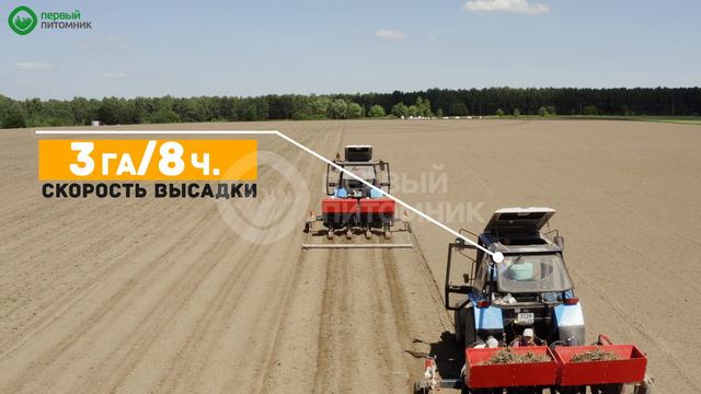 Питомник площадью 13 гектаров от Компании "Первый Питомник"