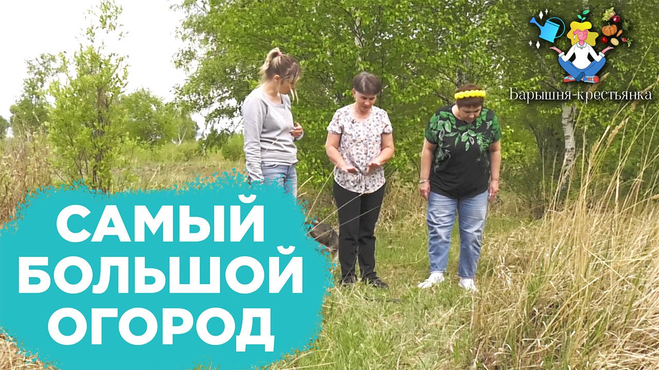 Как правильно выращивать дикоросы? | Барышня-крестьянка