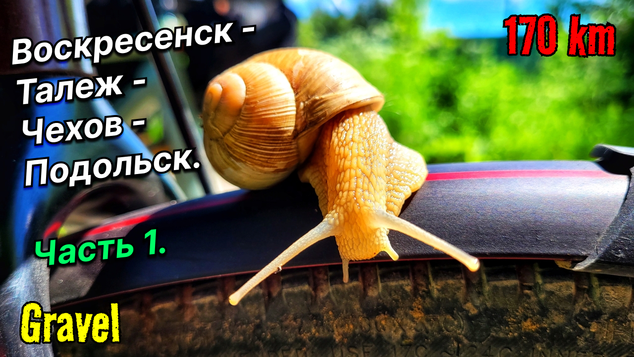 Как Летописец, Лось и Сусанин в Талеж ездили. 170 км. Часть 1.