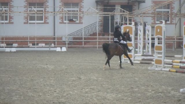 Конкур категория Пони