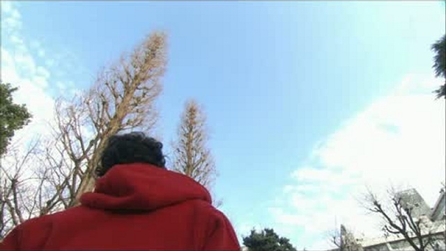 Домедзи Цукаса — Мальчик-красавчик [Hana Yori Dango DMV]