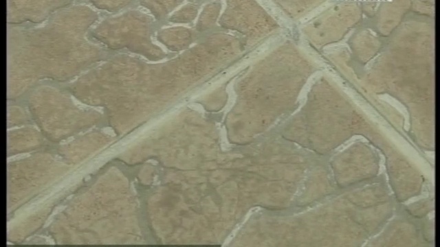 новостной сюжет от 11.04.13