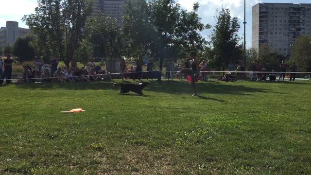 Макарова Виктория и бордер колли Гудвин.mp4