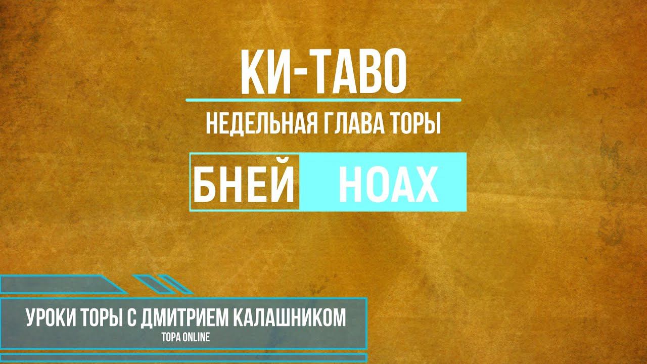 Недельная глава ТОРЫ "Ки-Таво", книга "ДВАРИМ" (Второзаконие) 5780